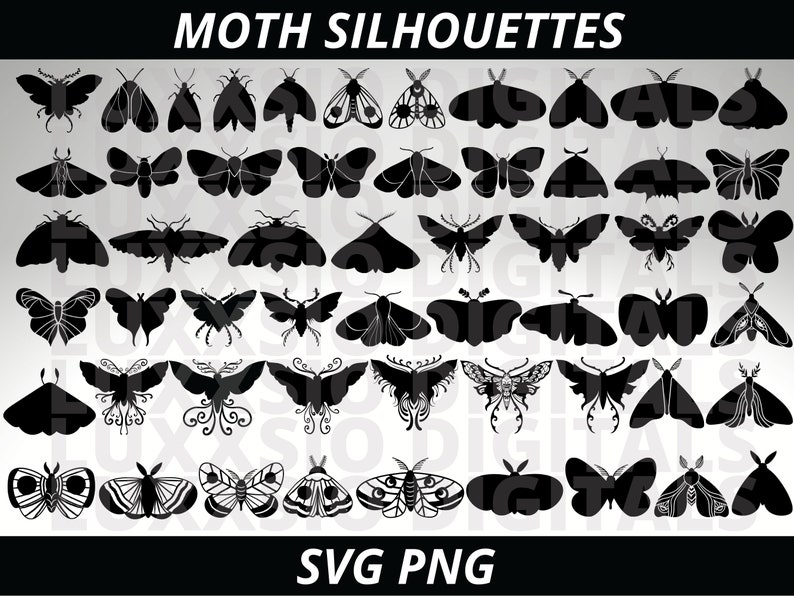 Moth Svg Insect Svg Moth Png Moth Silhouette Bundle Moth - Etsy