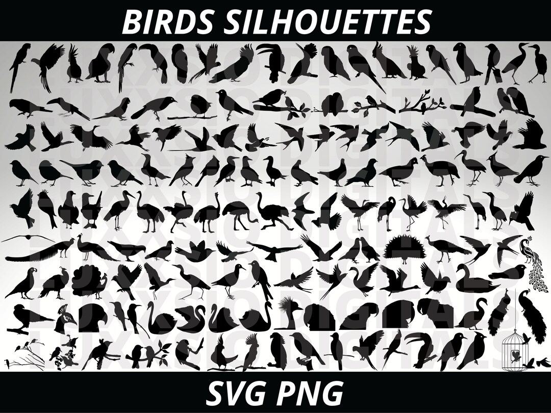 Bird Svg, Birds Svg, Parrot Svg, Dove Svg, Peacock Svg, Hawk Svg, Svg ...
