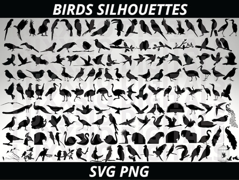 Bird Svg, Birds Svg, Parrot Svg, Dove Svg, Peacock Svg, Hawk Svg, Svg ...