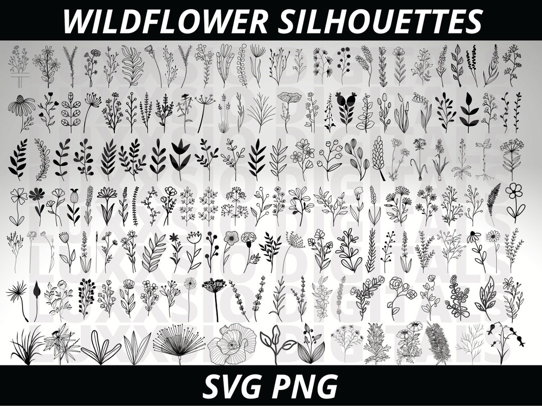 Wildflower Svg, Floral Svg, Flower Svg, Botanical Svg, Wildflowers Svg ...