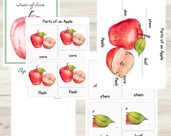 OakandEarthGoods - Etsy