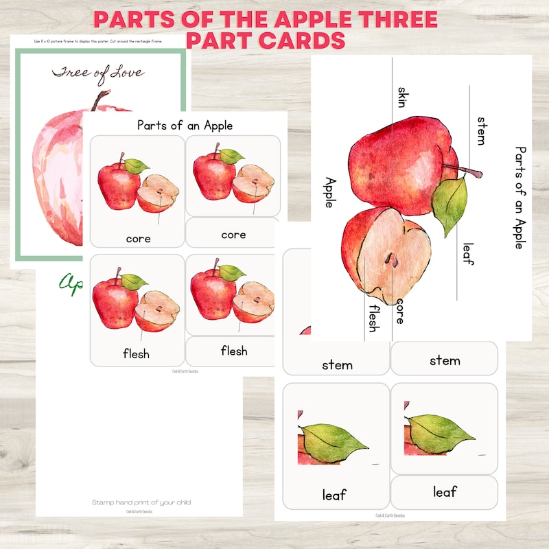 Apple Posters - Etsy