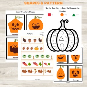 Lifecycle of Pumpkin Fall Printables Montessori Three Part - Etsy