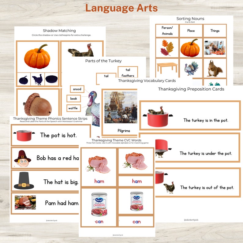 Montessori Thanksgiving Printable | Montessori Three Part Cards | Parts ...