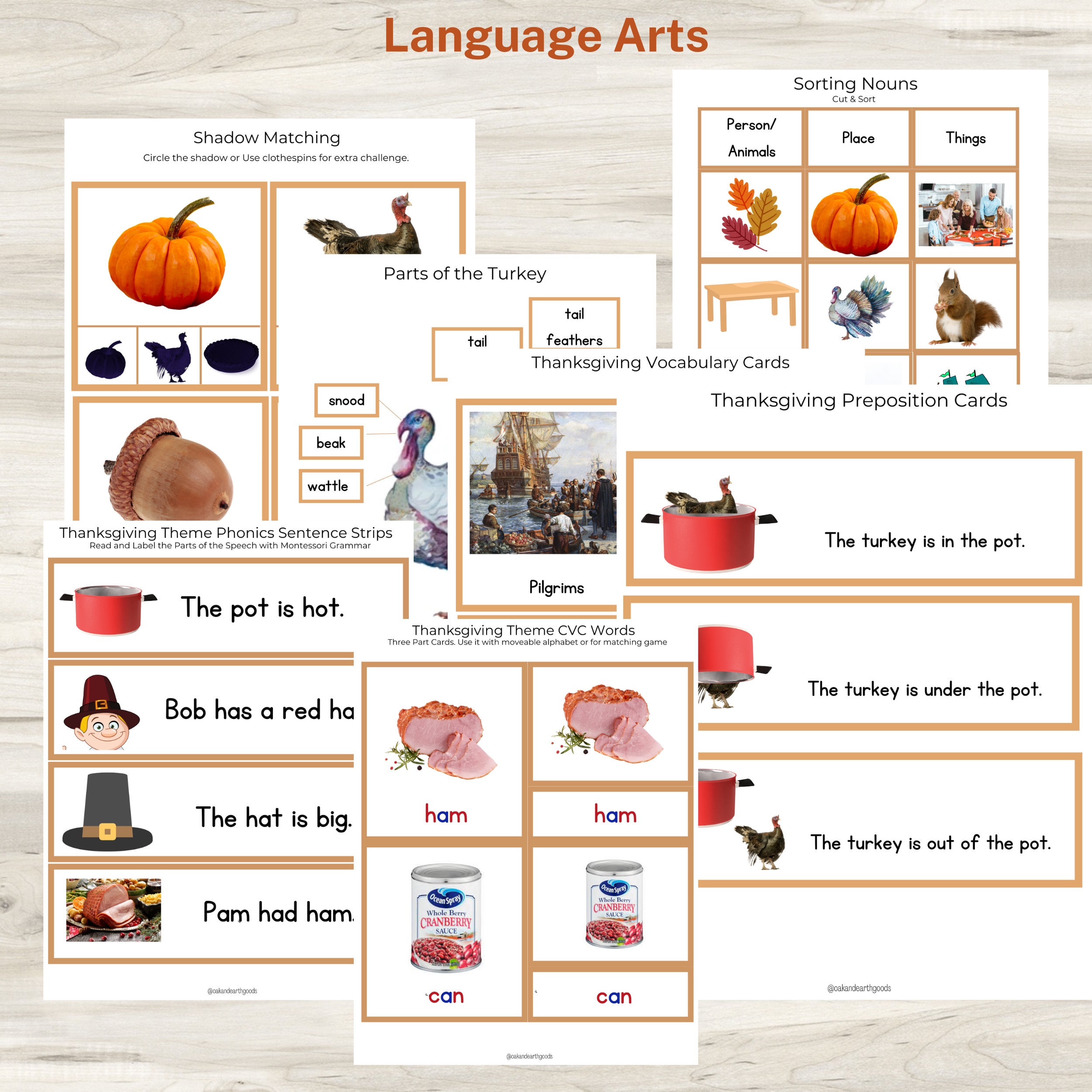 Montessori Thanksgiving Printable | Montessori Three Part Cards | Parts ...