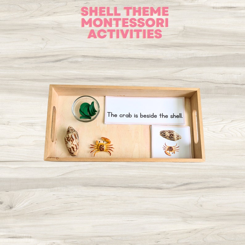 Montessori Shells Activity Bundle Preposition Cards Three - Etsy