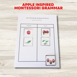 Montessori Grammar Activities | Apple Inspired Grammar Activities ...