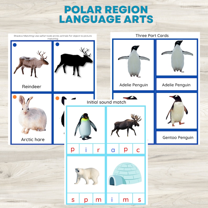 Arctic & Antarctica Montessori Printable. Types of Penguins. - Etsy