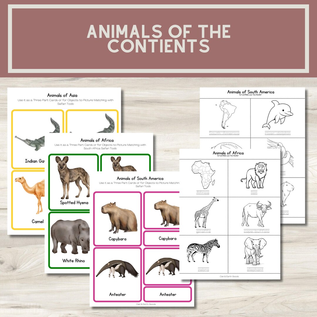 Montessori Animals of the Continents Three Part Cards - Digital ...