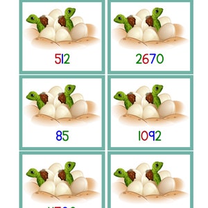 Turtle Unit Study | Montessori Turtle Unit Study | Parts of the Turtle ...