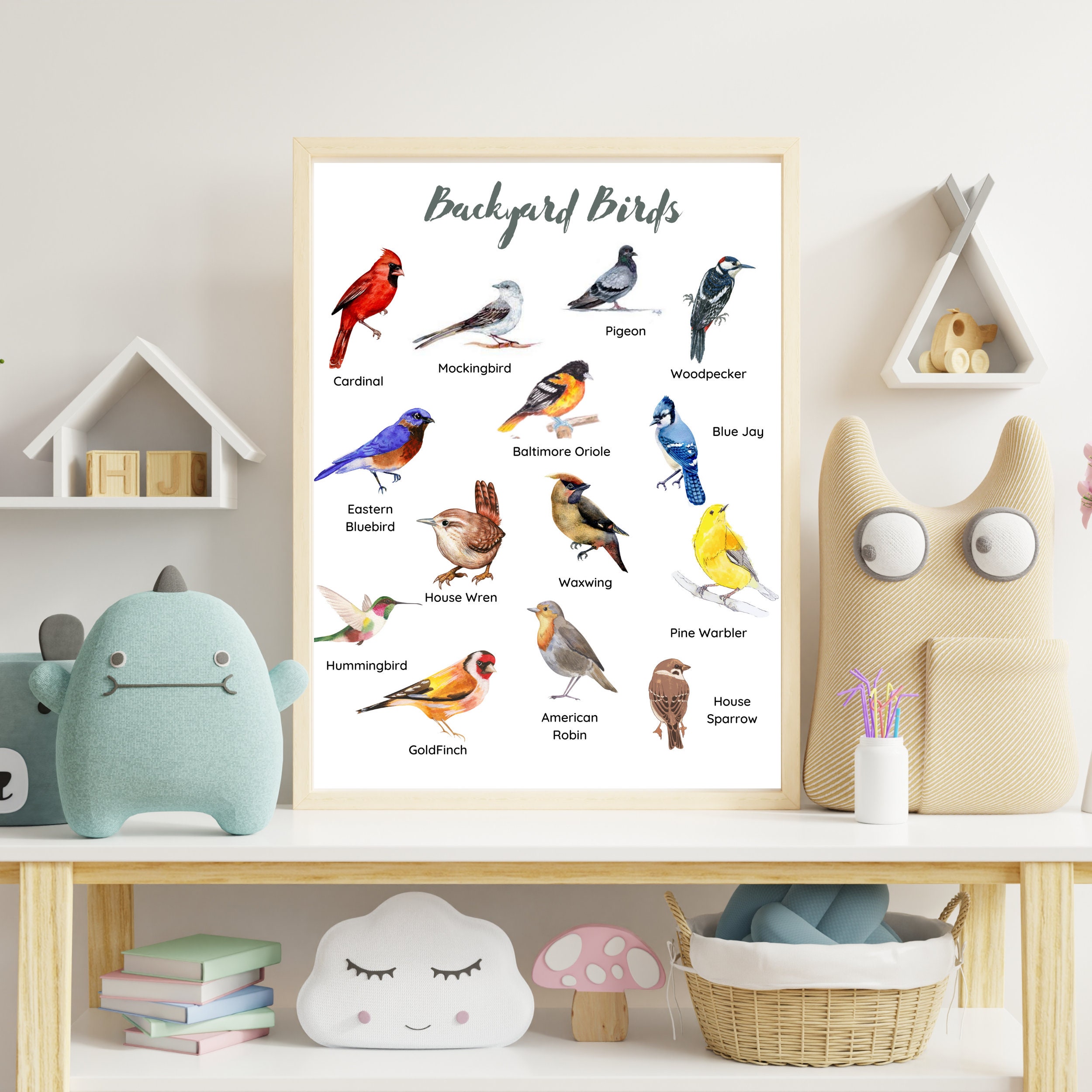 Buy 4 Sizes Backyard Birds Poster-educational Classroom Nature Online ...