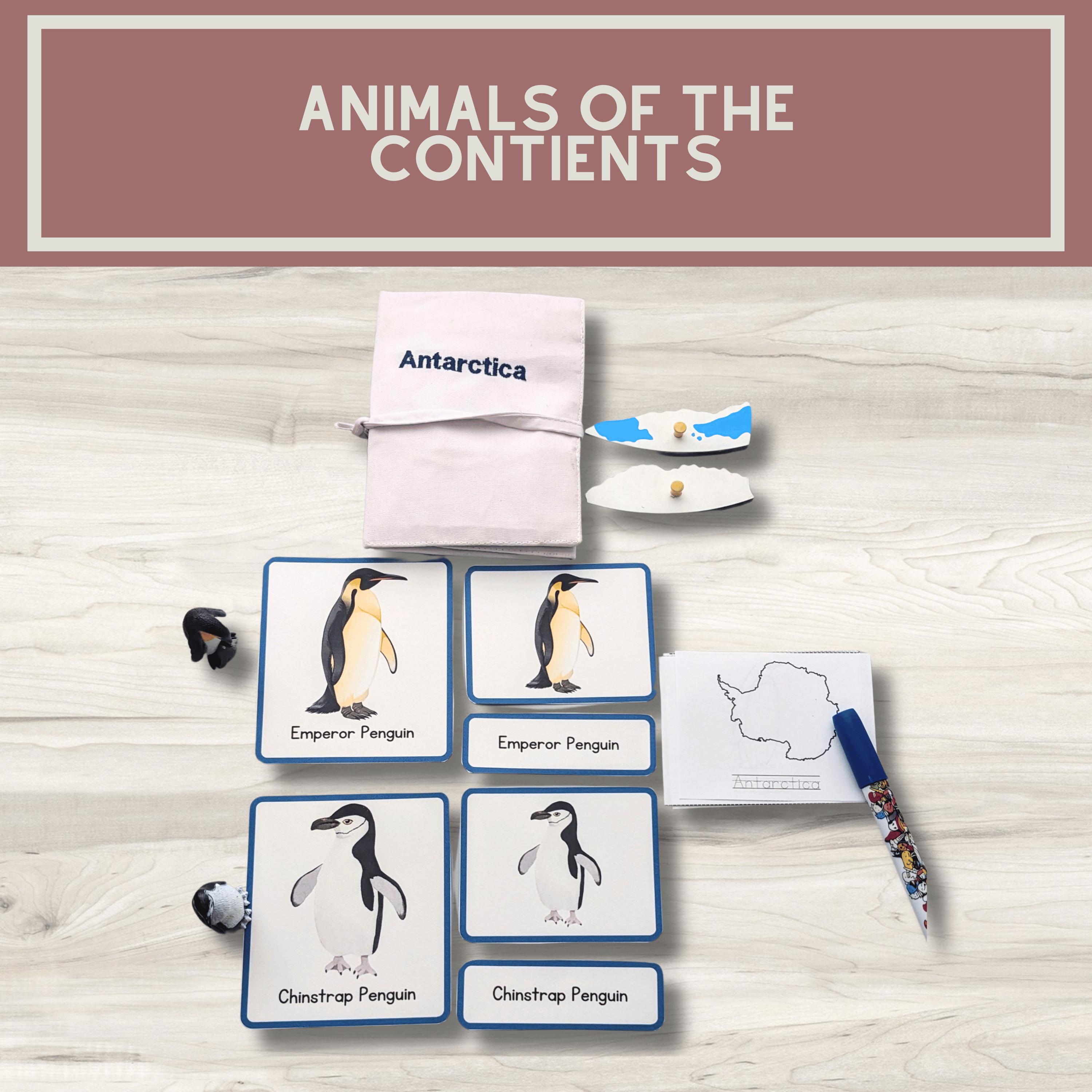 Montessori Animals of the Continents Three Part Cards - Digital ...