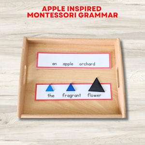 Montessori Grammar Activities | Apple Inspired Grammar Activities ...
