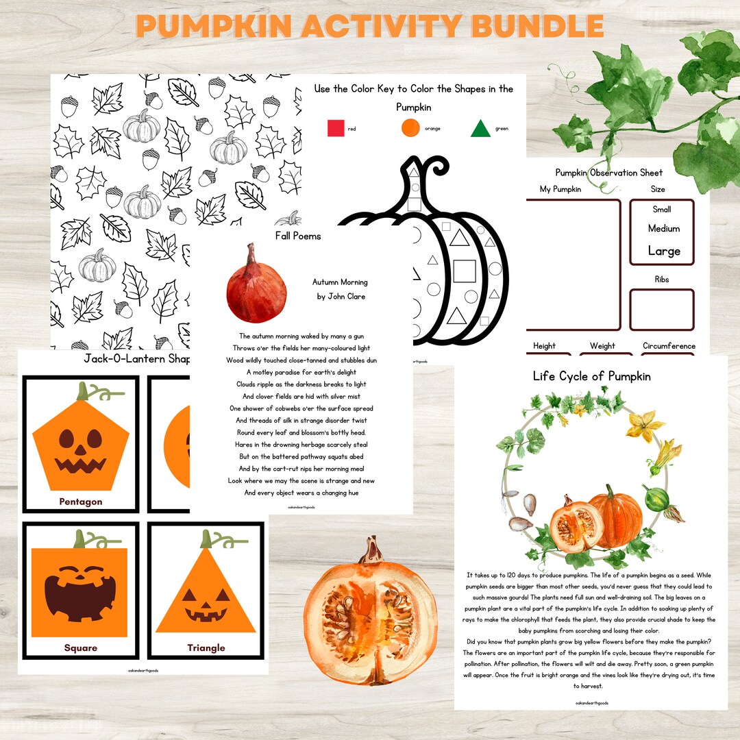 Lifecycle of Pumpkin | Fall Printables | Montessori Three Part Cards ...