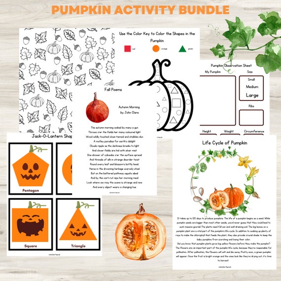 Lifecycle of Pumpkin Fall Printables Montessori Three Part - Etsy