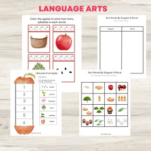 Apple Theme Preschool Printables | Montessori Printables | Montessori ...
