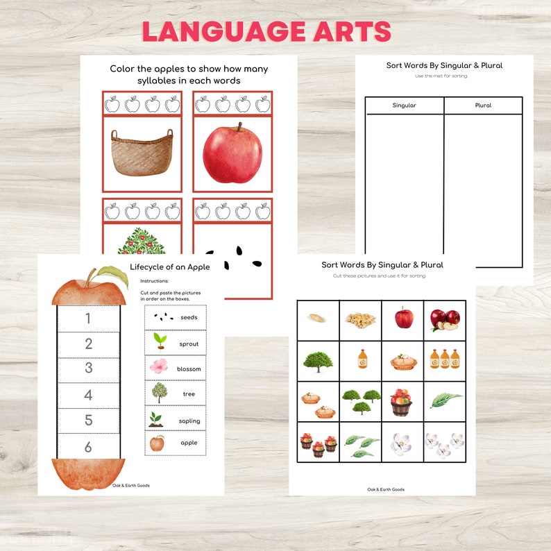 Apple Theme Preschool Printables Montessori Printables - Etsy