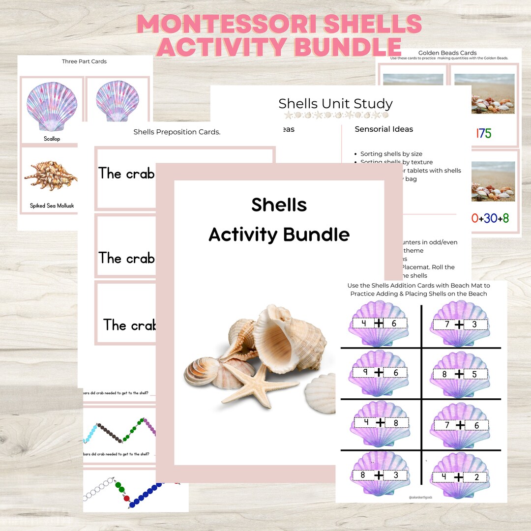 Montessori Shells Activity Bundle | Preposition Cards | Three Part ...