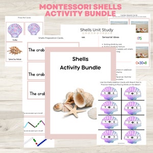 Montessori Shells Activity Bundle | Preposition Cards | Three Part ...