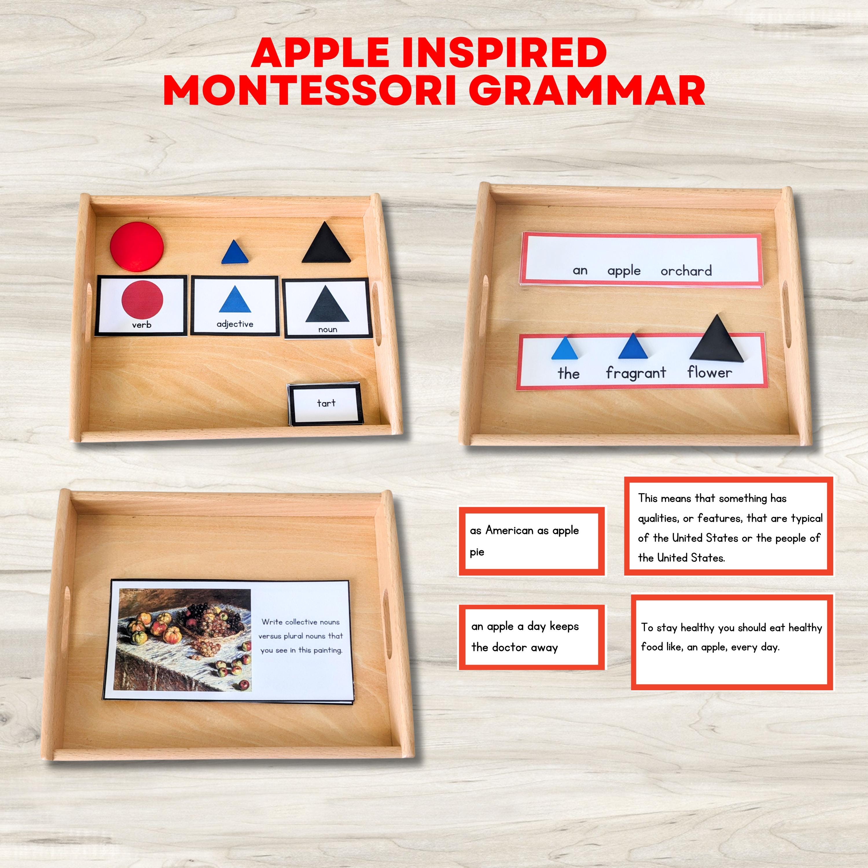 Montessori Grammar Activities | Apple Inspired Grammar Activities ...