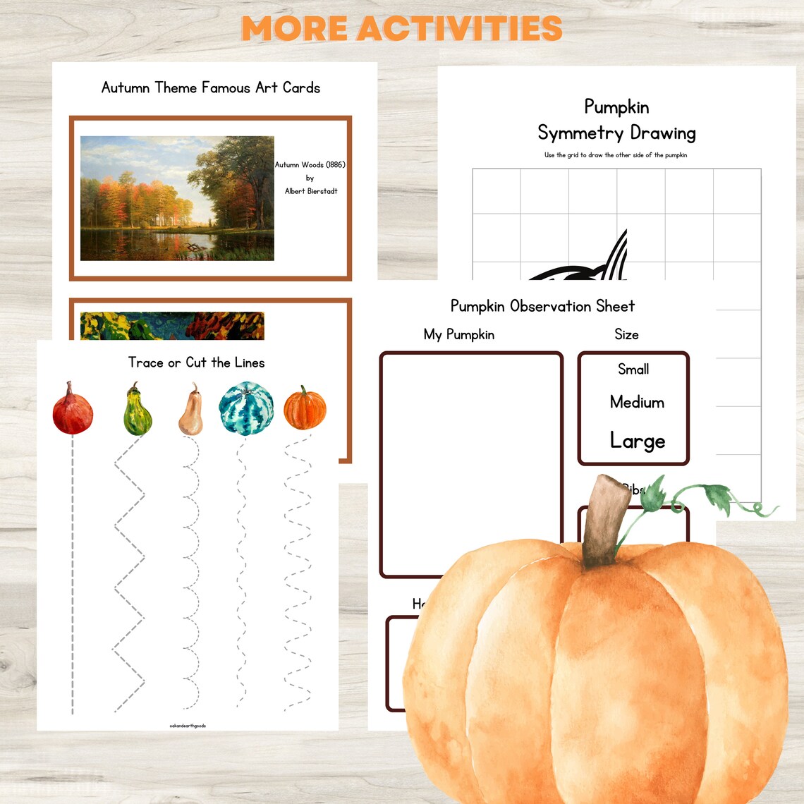 Lifecycle of Pumpkin Fall Printables Montessori Three Part - Etsy