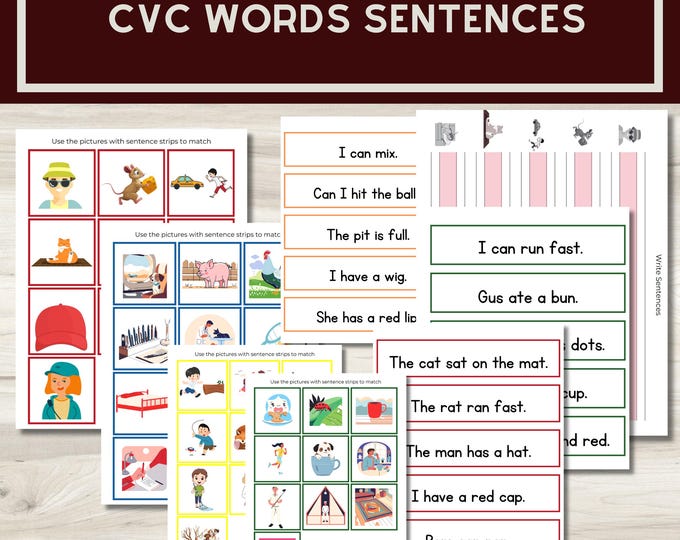 Digital Download Montessori CVC Words Sentences | Color Coordinated ...