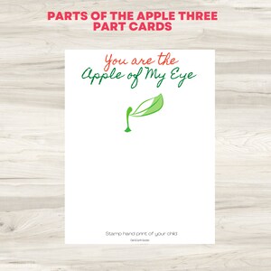 Apple Theme Montessori Three Part Cards Parts of the Apple - Etsy