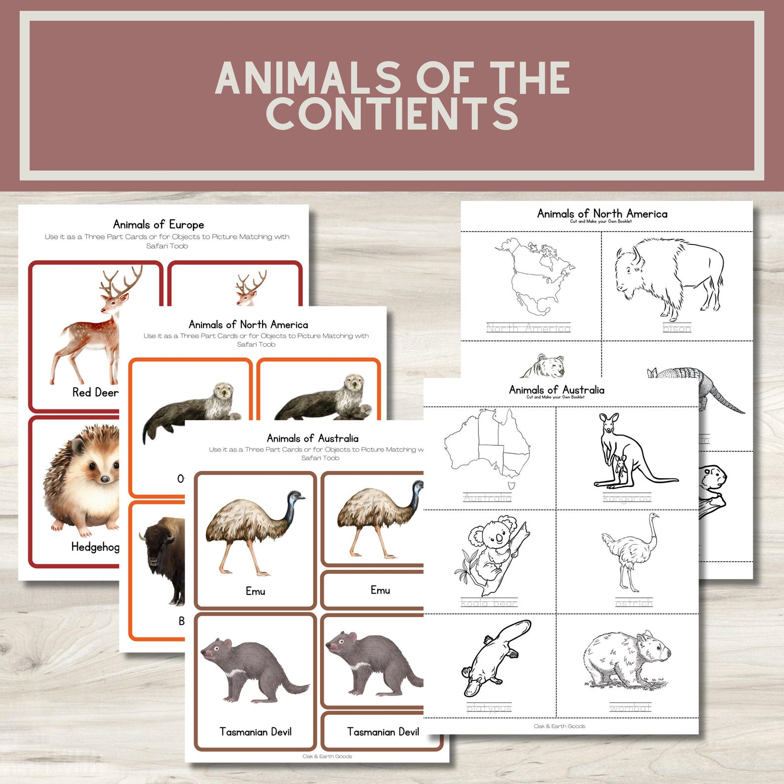 Montessori Animals of the Continents Three Part Cards - Digital ...