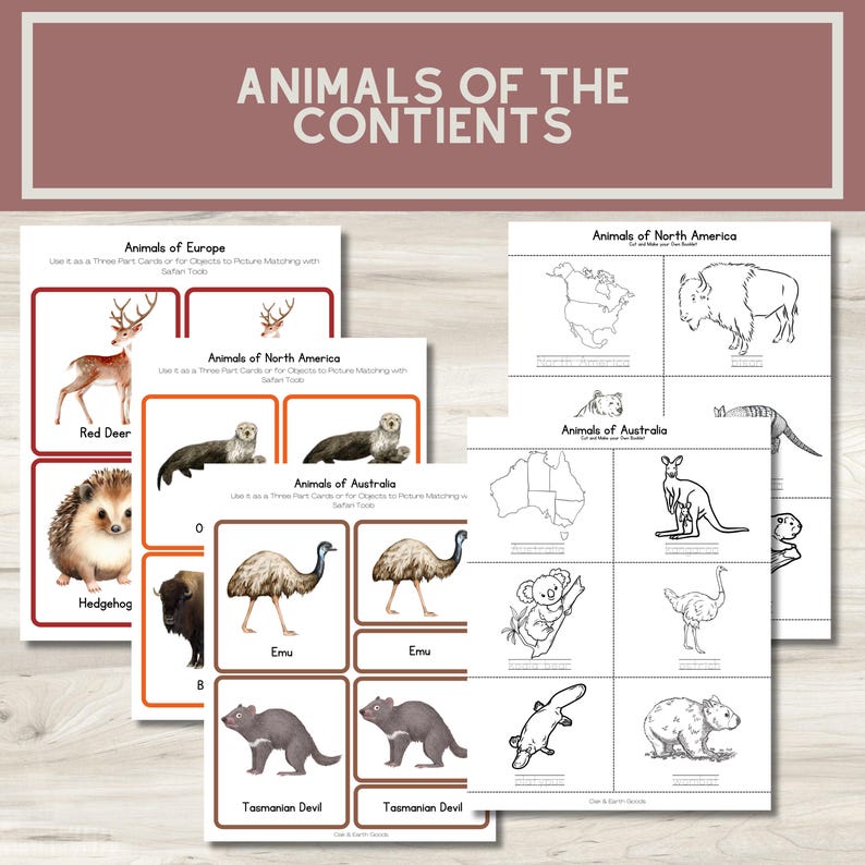 Montessori Animals of the Continents Three Part Cards - Digital ...