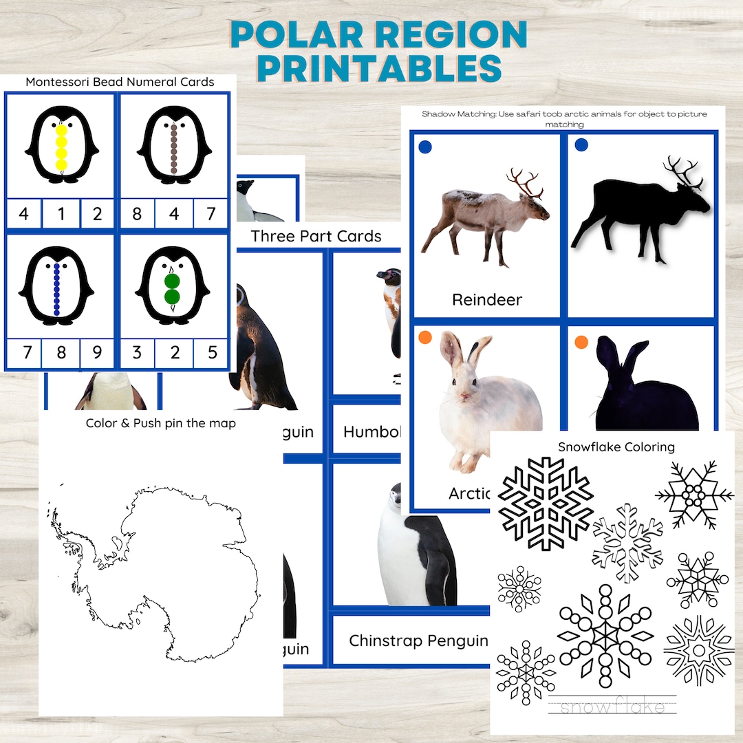 Arctic & Antarctica Montessori Printable. Types of Penguins. Three Part ...