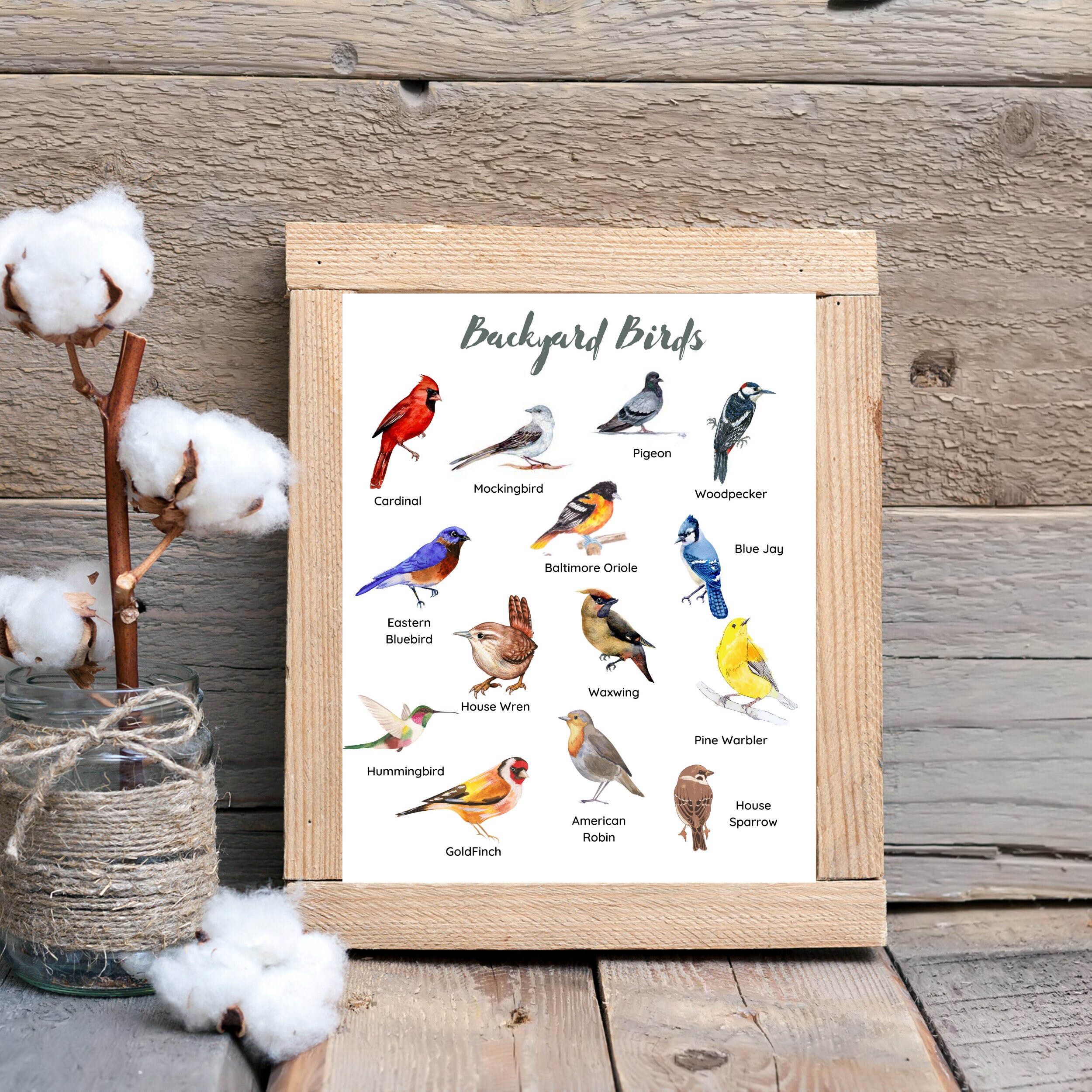 Buy 4 Sizes Backyard Birds Poster-educational Classroom Nature Online ...