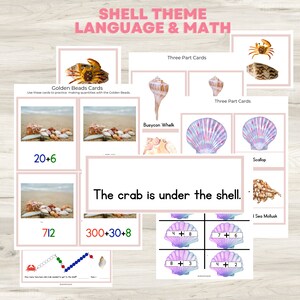 Montessori Shells Activity Bundle | Preposition Cards | Three Part ...
