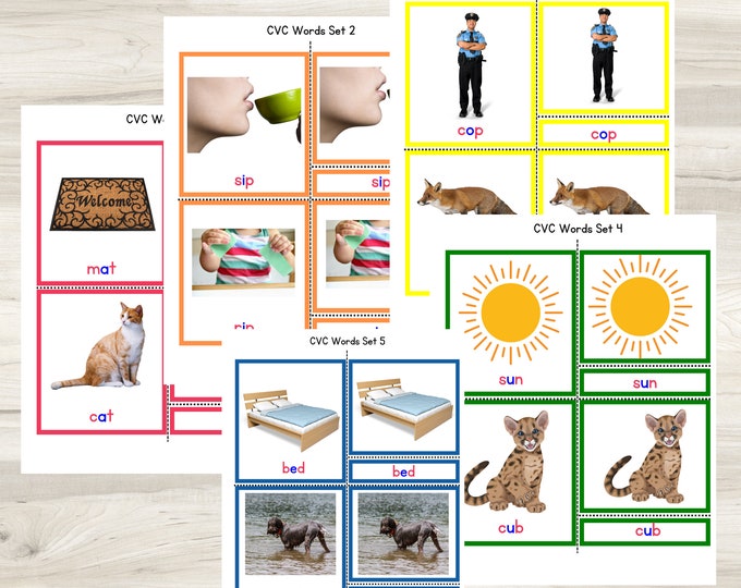 Montessori CVC Words | Complete CVC Words List | Montessori Three Part ...