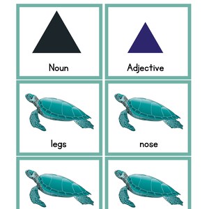 Turtle Unit Study | Montessori Turtle Unit Study | Parts of the Turtle ...