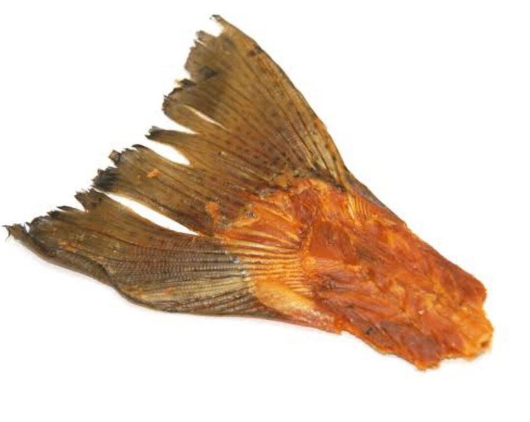 Air Dried Salmon Tails - Etsy