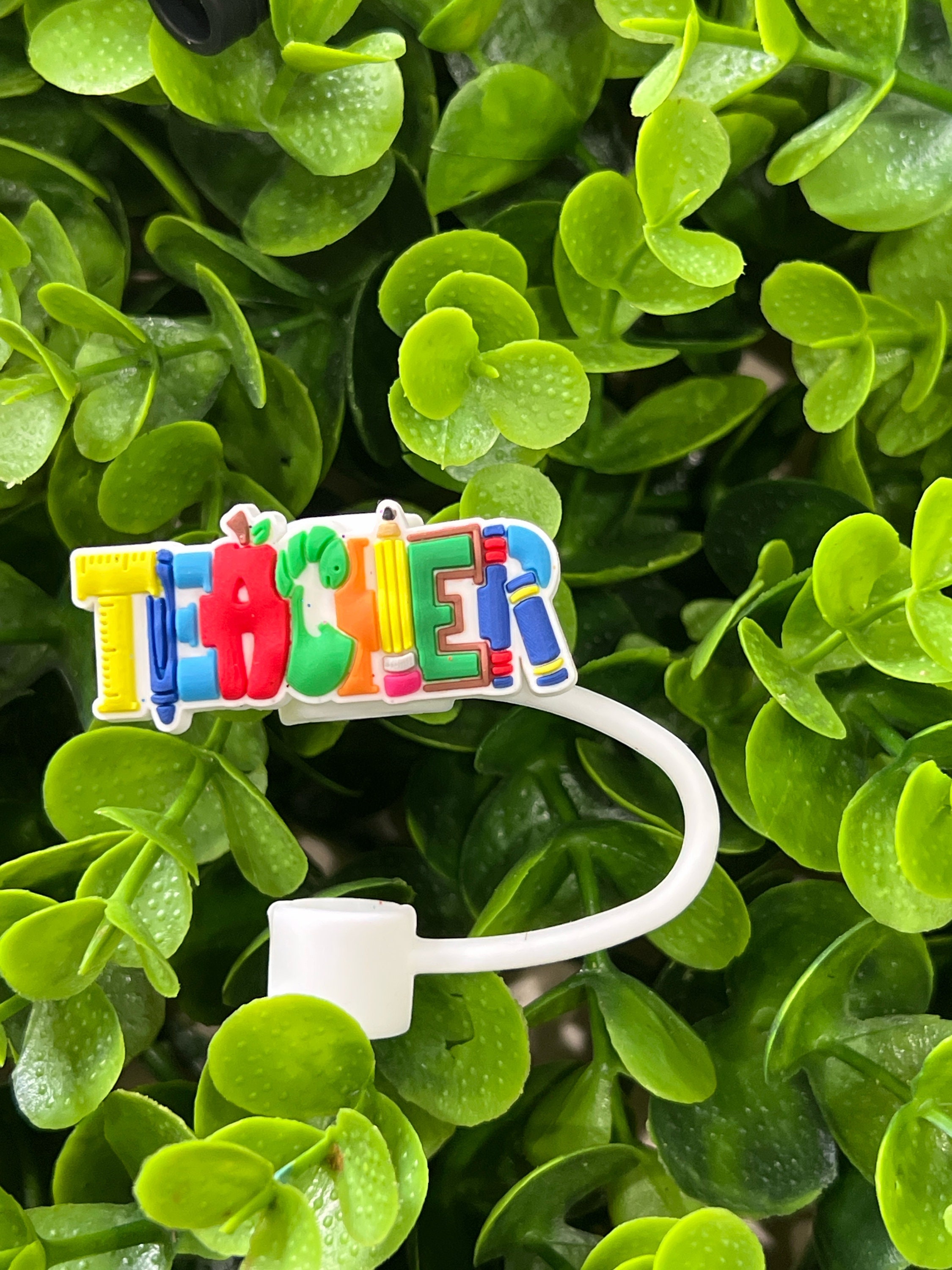 Teacher Straw Toppers - Etsy