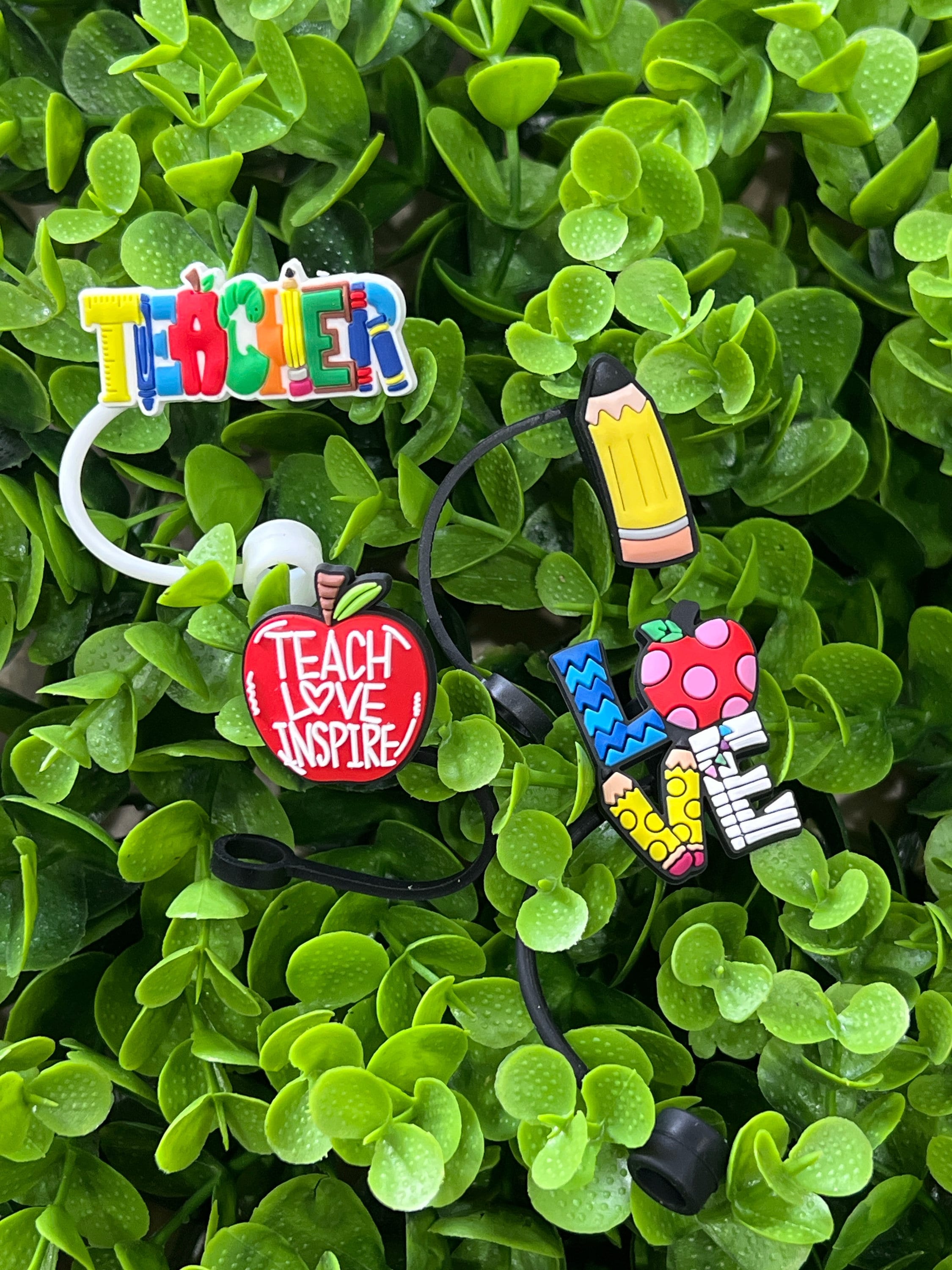 Teacher Straw Toppers - Etsy