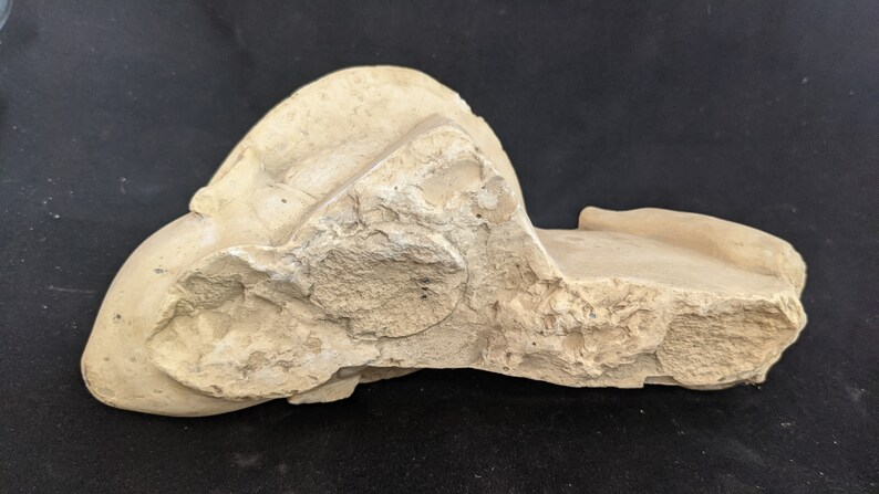 Egyptian King Tut Tutankhamun Head Bust With Hand Sculpture - Etsy