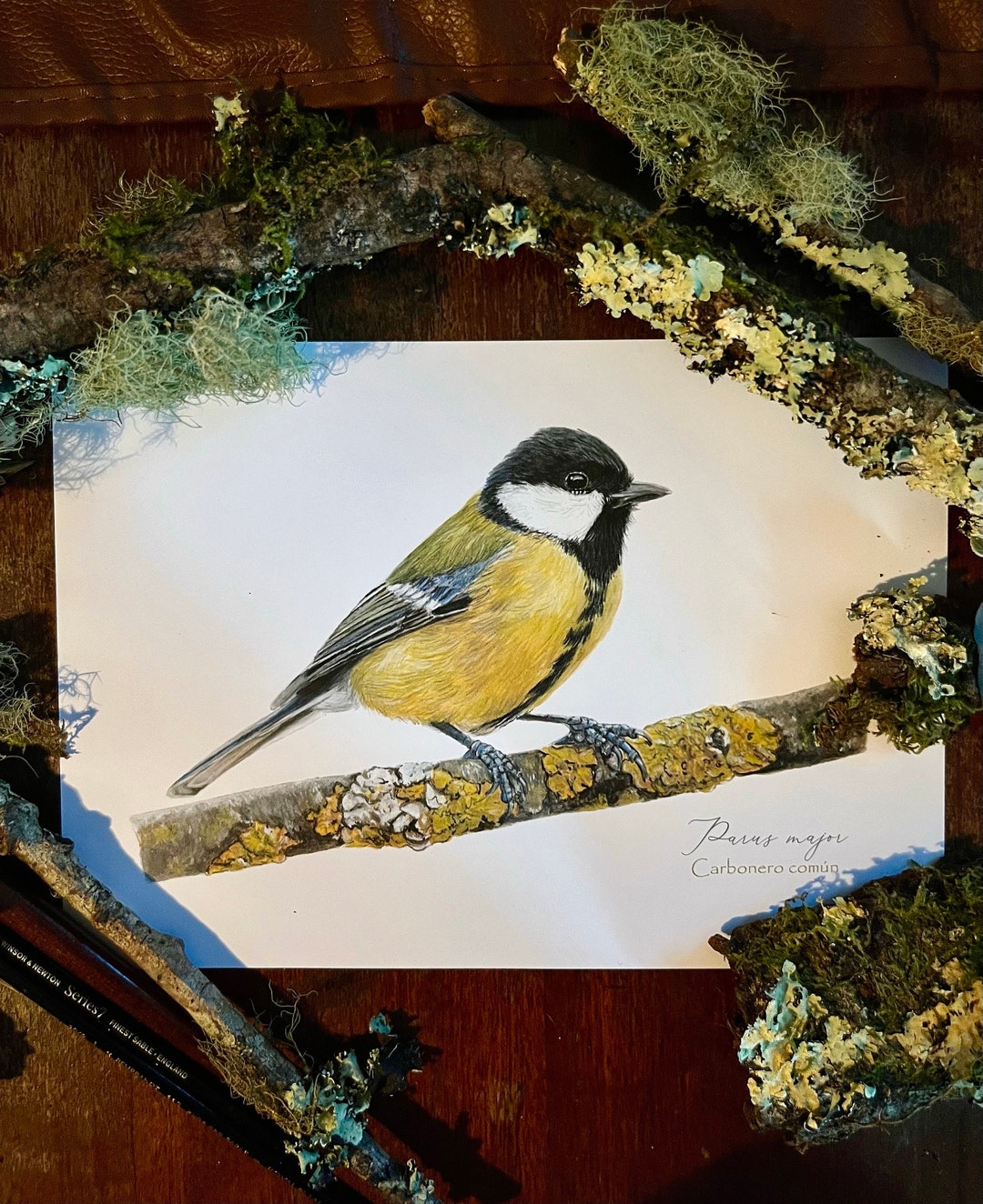 Print A5 Illustration of Great Tit parus Major Bird Painting - Etsy