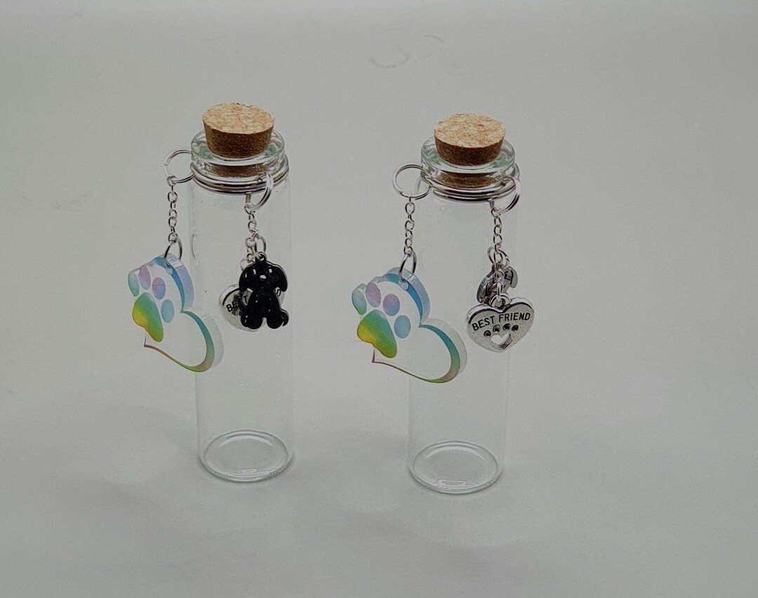 Dog Fur Keepsake Bottle, Paw Print Heart Mini Urn, Rainbow Bridge Dog ...