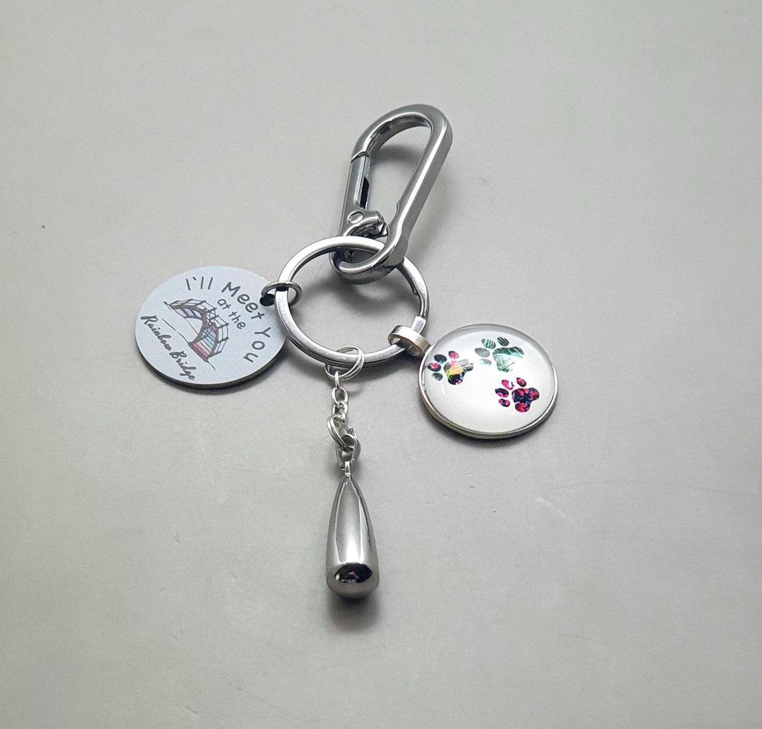 Dog Ashes Teardrop Urn Keyring, Rainbow Bridge Dog Memorial Keychain ...