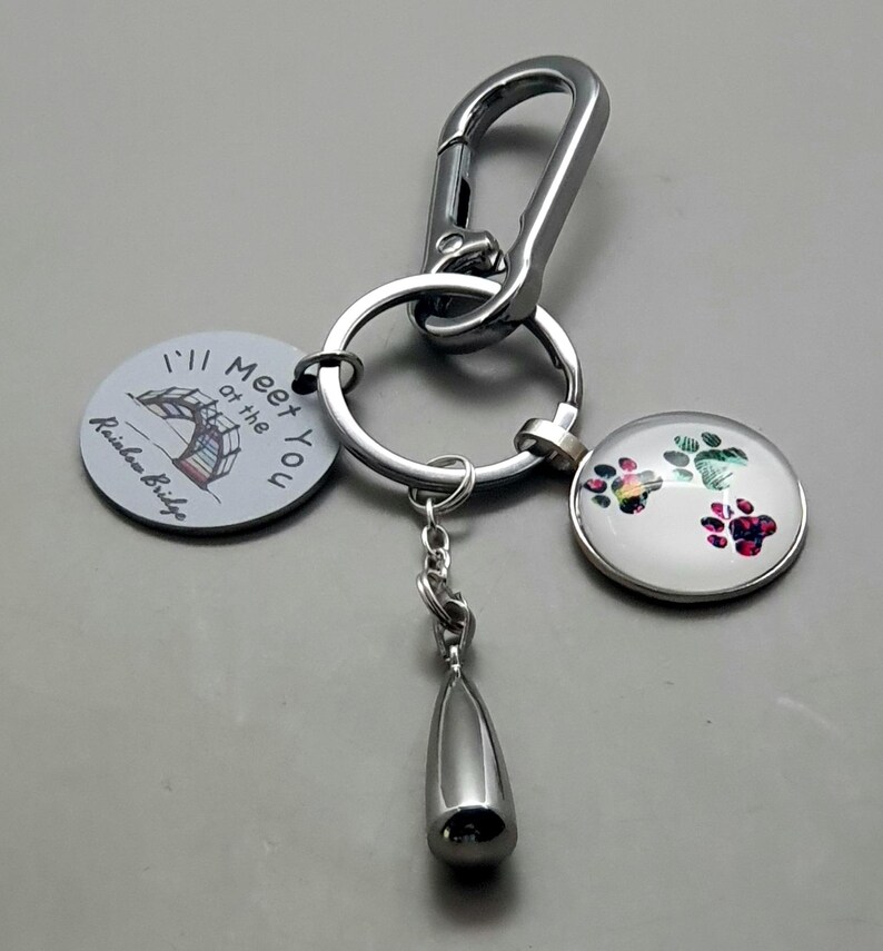 Dog Ashes Teardrop Urn Keyring, Rainbow Bridge Dog Memorial Keychain ...