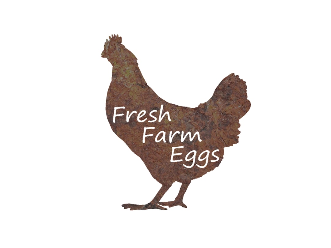 Fresh Farm Eggs | Rustic Chicken | Metal Farm Signs - Etsy
