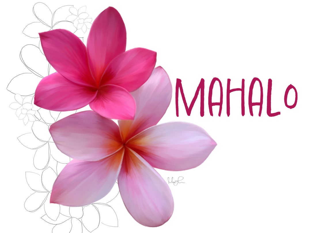 Mahalo- Thank You Card - Etsy