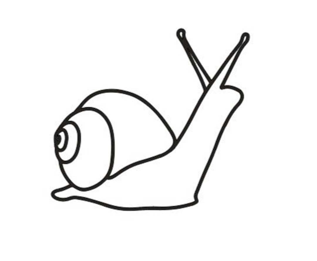 Snail Car Decal | Unique, Fun Addition to Car or Window - Etsy