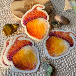 Acorn Sticker, Fall Sticker, Waterproof Sticker, Water Bottle Sticker ...