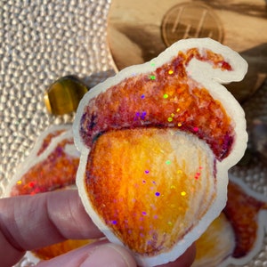 Acorn Sticker, Fall Sticker, Waterproof Sticker, Water Bottle Sticker ...