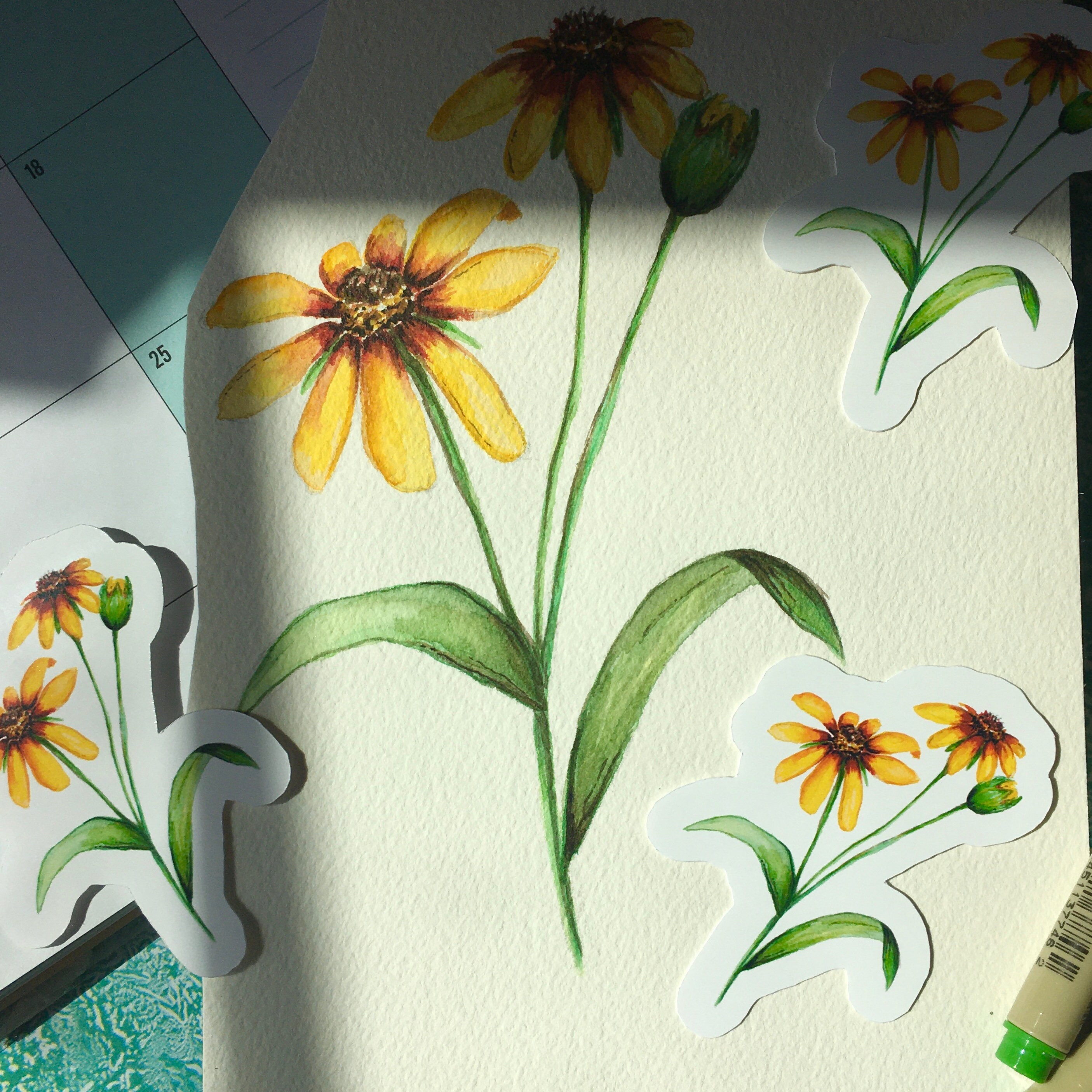 Black Eyed Susan Sticker Wildflower Sticker Handpainted | Etsy