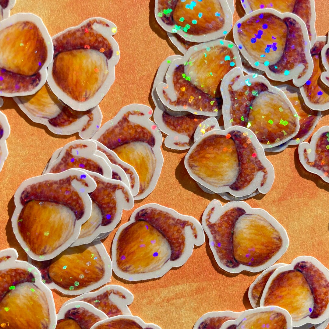Acorn Sticker Mini Pack, Mini Acorn Stickers, Small Fall Stickers, Fall ...