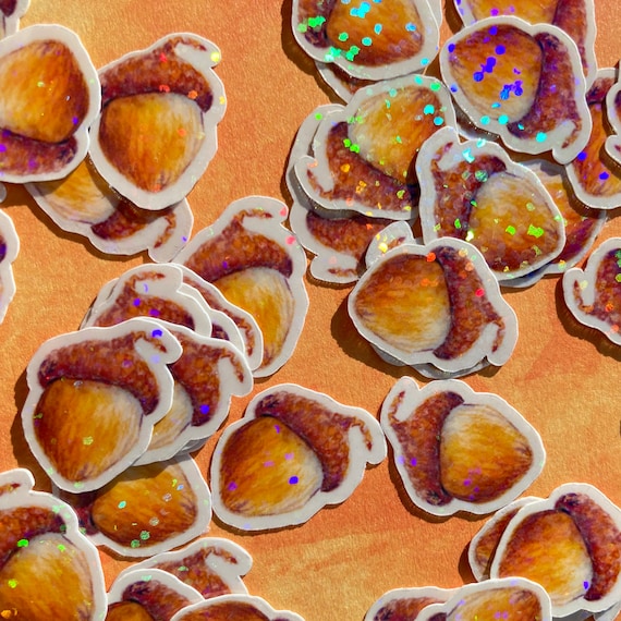 Acorn Sticker Mini Pack Mini Acorn Stickers Small Fall - Etsy